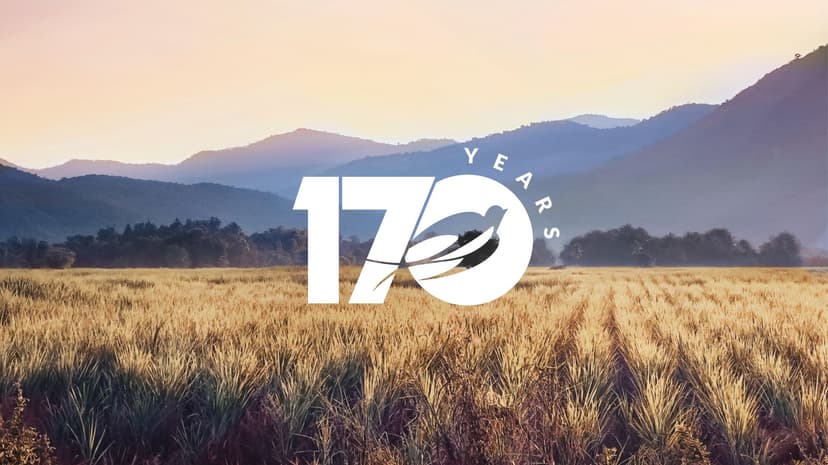 Lesaffre Maroc - Acceuil