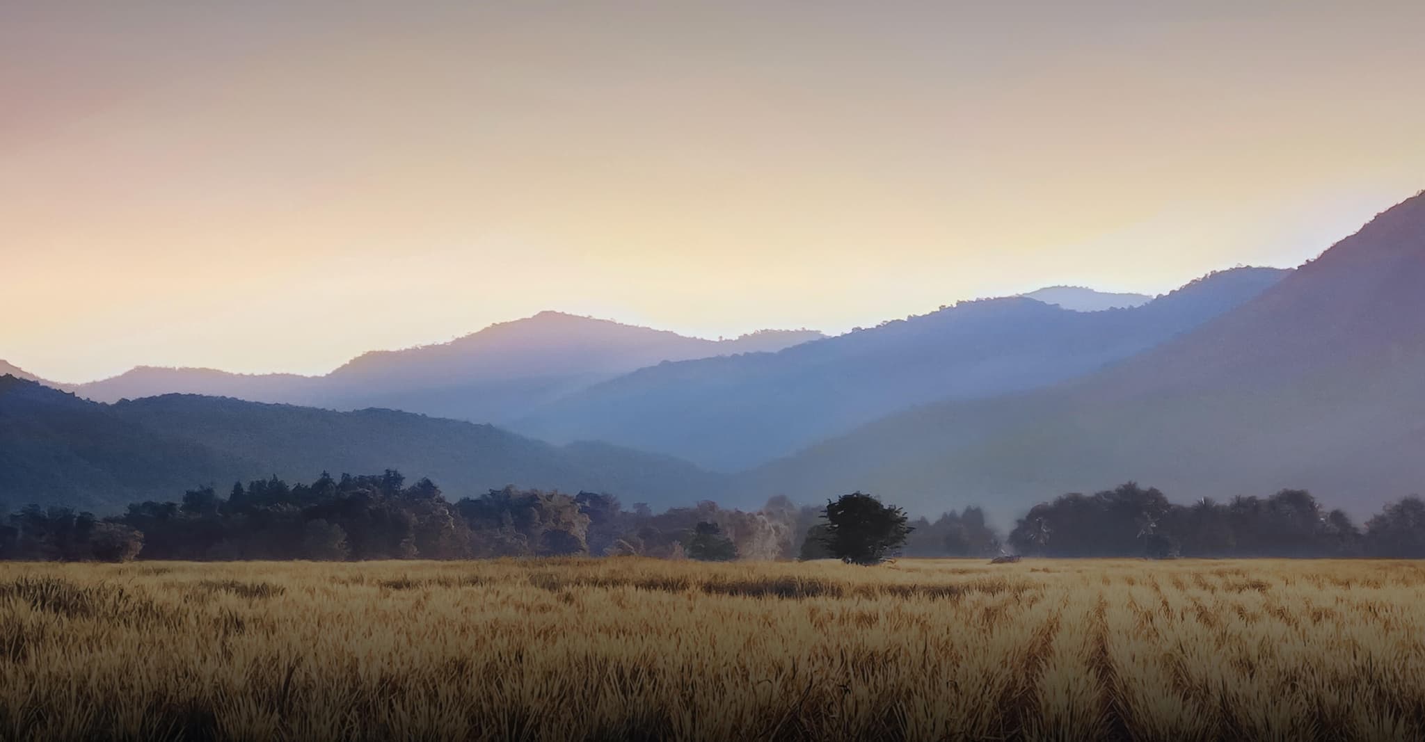 Lesaffre Maroc - Acceuil